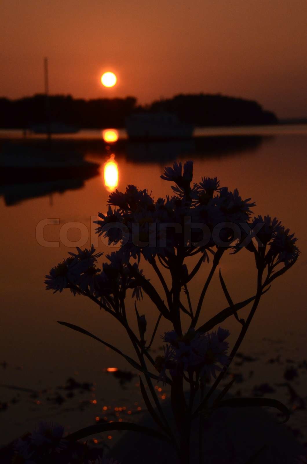 Solnedgang over havet med med sol og land i horisont i orange og sorte ...
