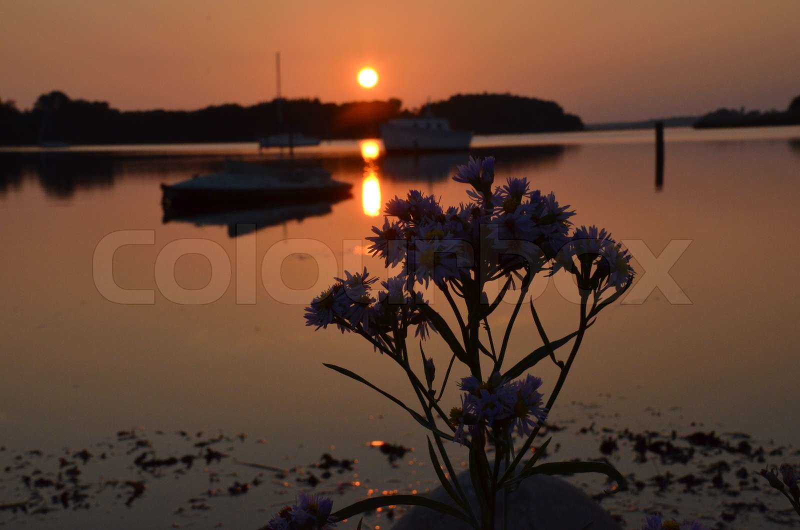 Solnedgang over havet med med sol og land i horisont i orange og sorte ...
