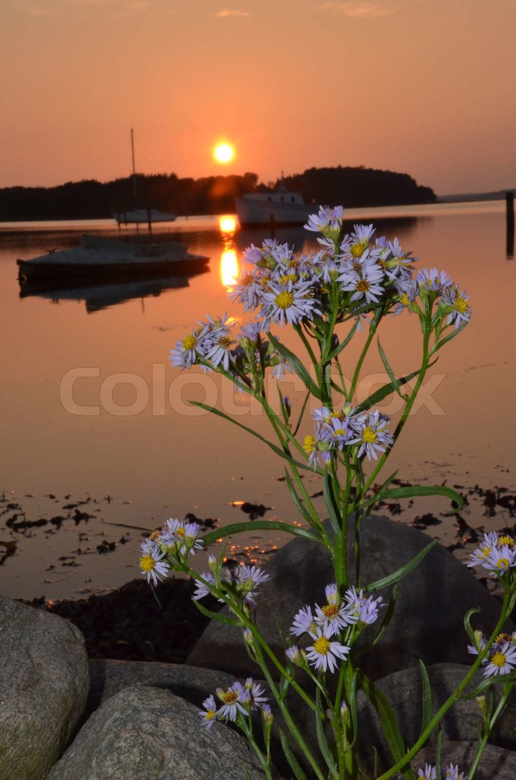 Solnedgang over havet med med sol og land i horisont i orange og sorte ...