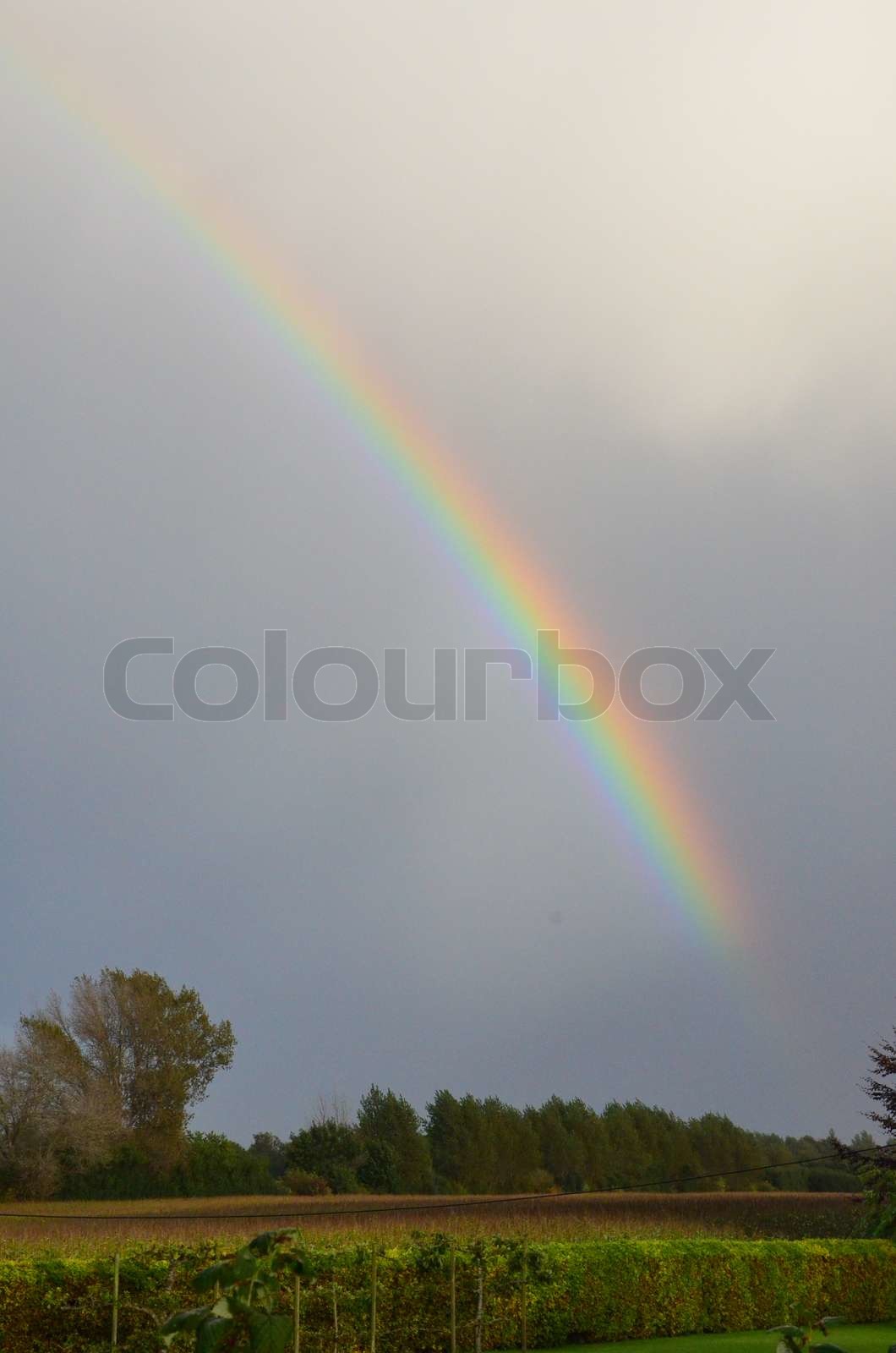 denmark, summer, danish | Stock image | Colourbox