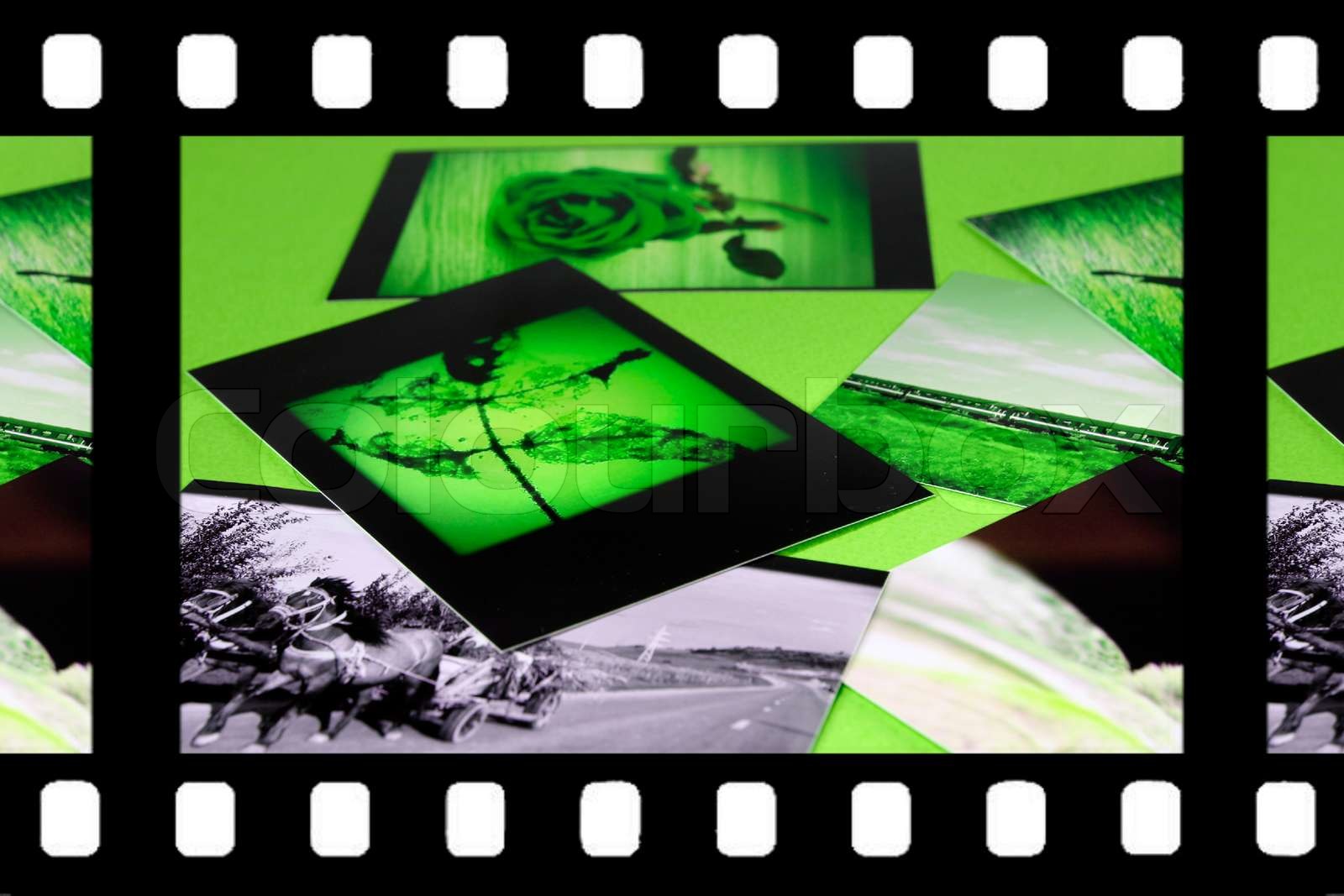 Photo Album | Stock image | Colourbox