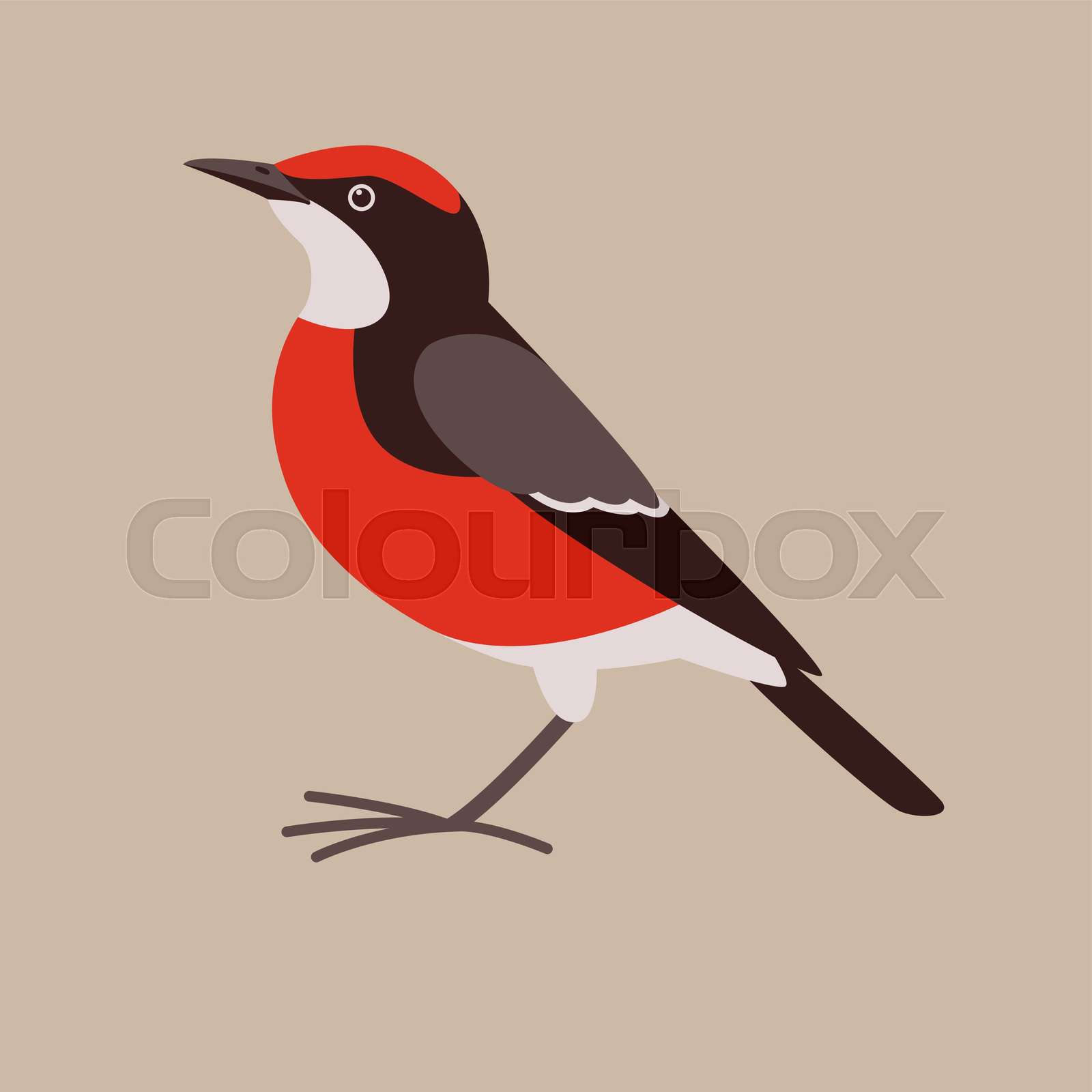 flycatcher bird, vector illustration, flat style, side view | Stock ...