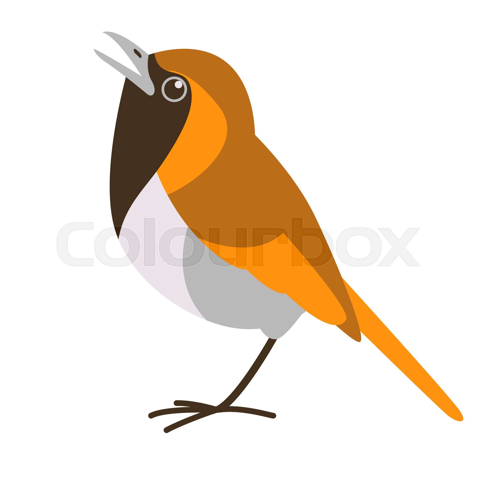 flycatcher bird, vector illustration, flat style, side view | Stock ...