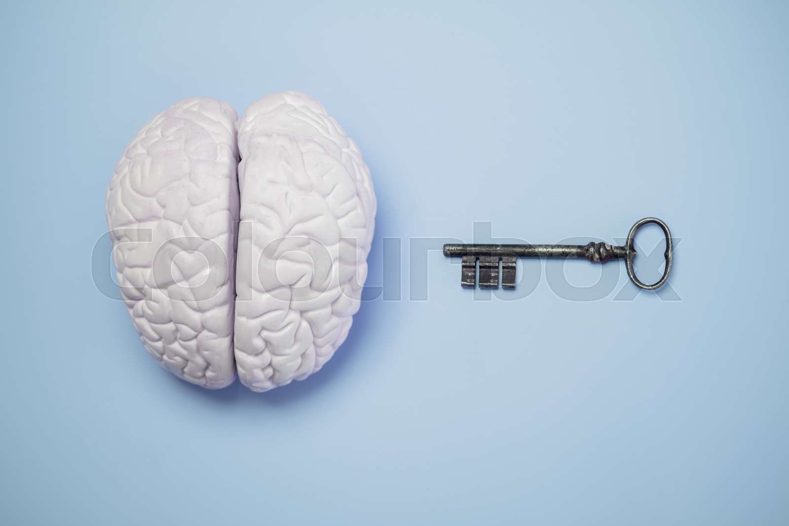 Solution to the human brain concept with old key | Stock image | Colourbox
