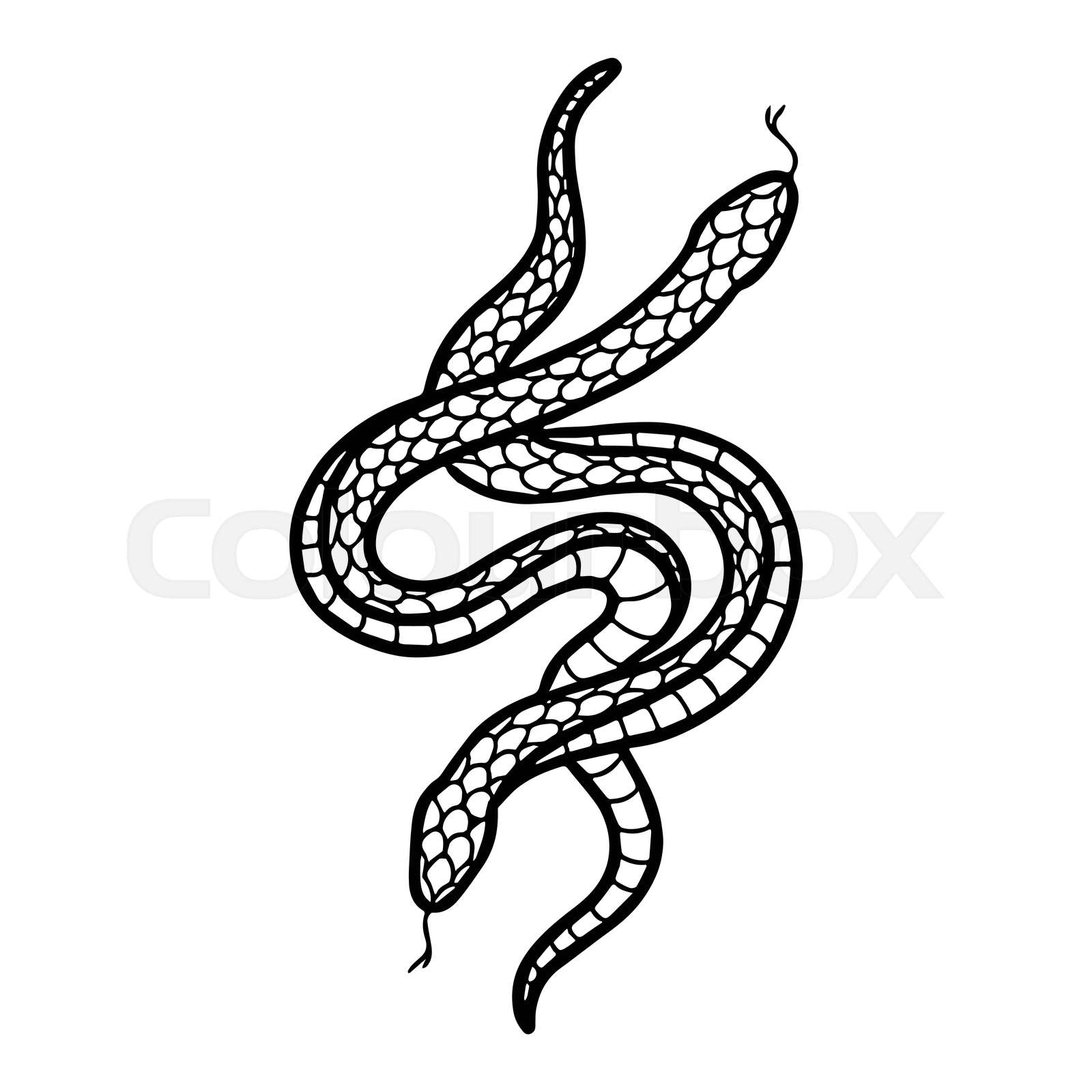 snake doodle illustration, traditional tattoo, vector line illustration ...