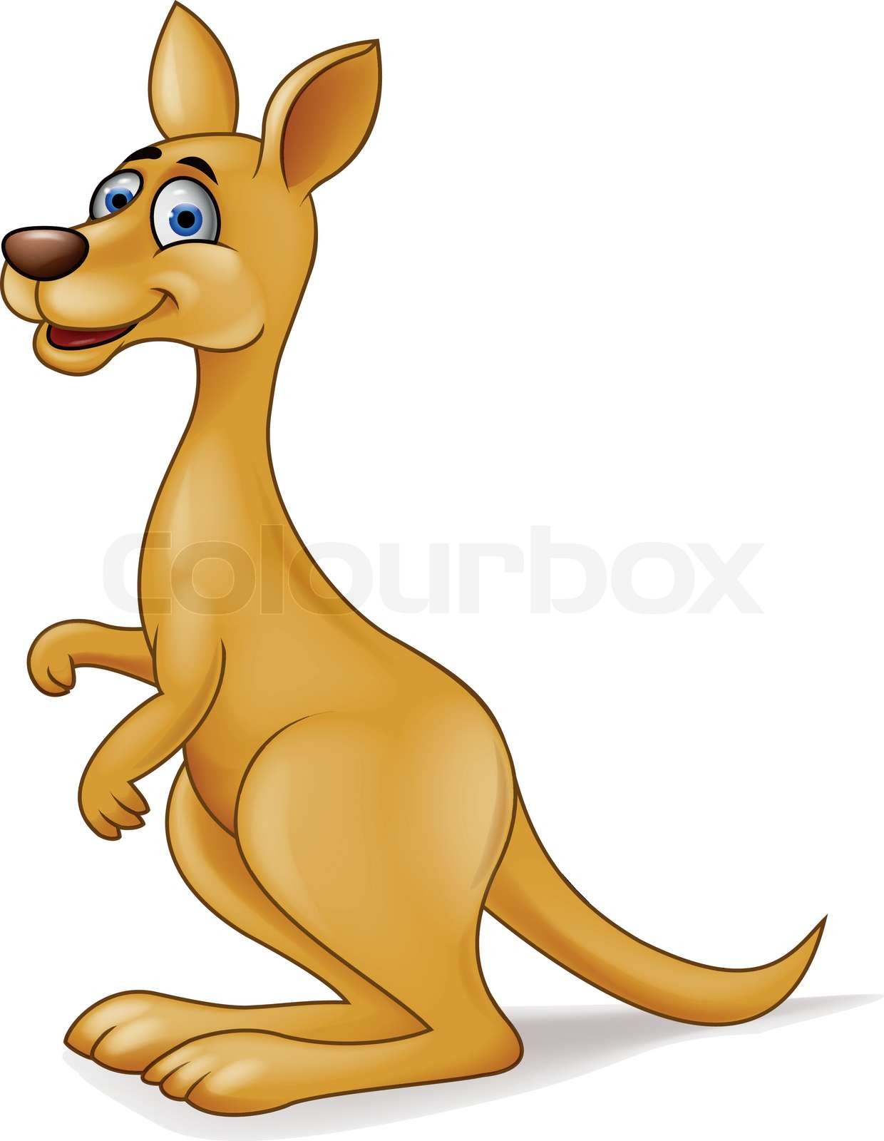 Kangaroo cartoon | Stock vector | Colourbox