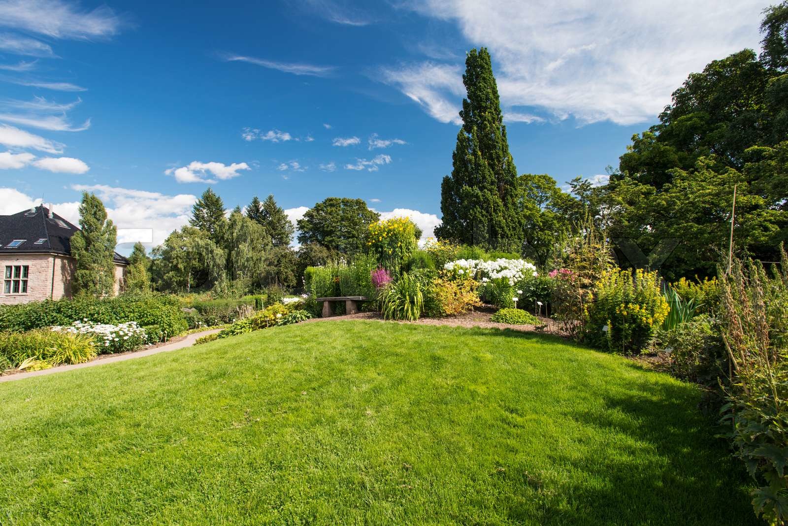 Botanical garden in Oslo Norway at summer | Stock image | Colourbox