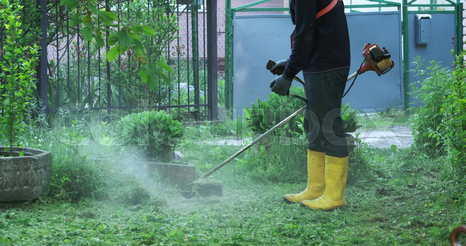 Male gardener cutting high grass on backyard | Stock video | Colourbox