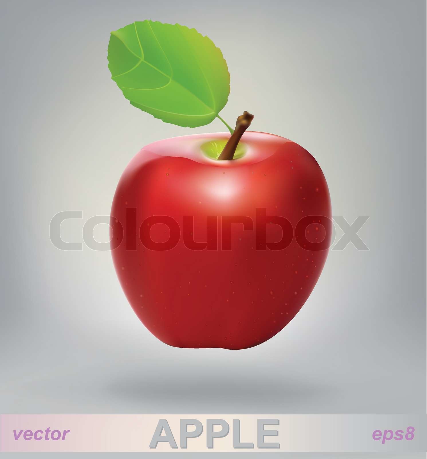 roter Apfel in Vektor | Stock-Vektor | Colourbox