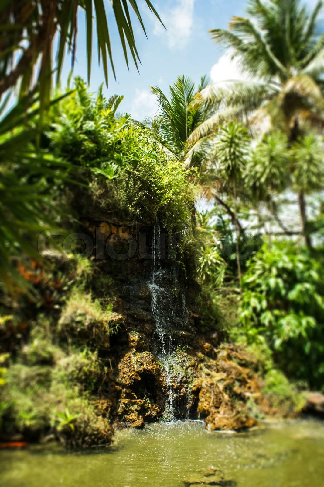 Tropical waterfall with palm trees | Stock image | Colourbox
