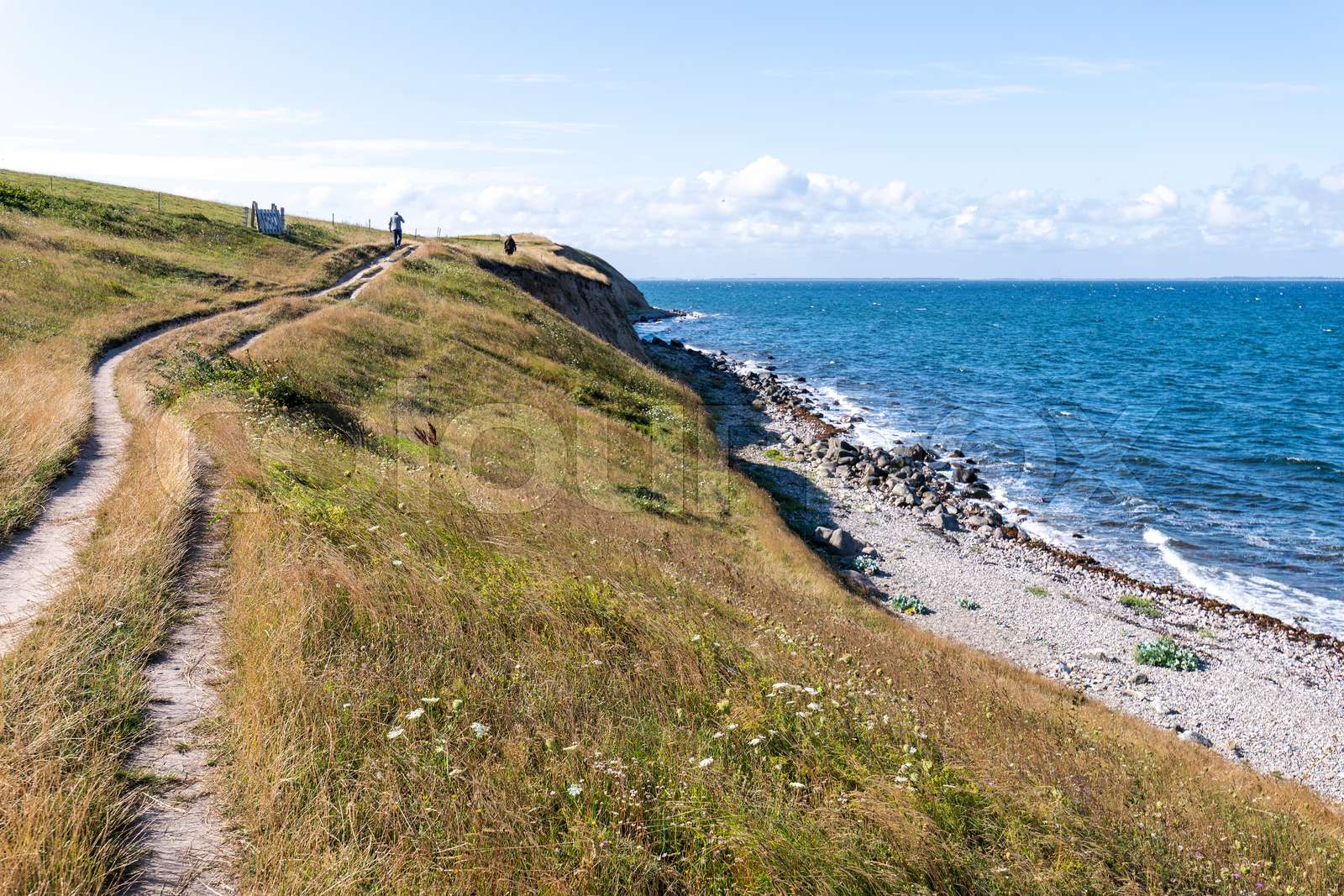 funen, coast, path | Stock image | Colourbox