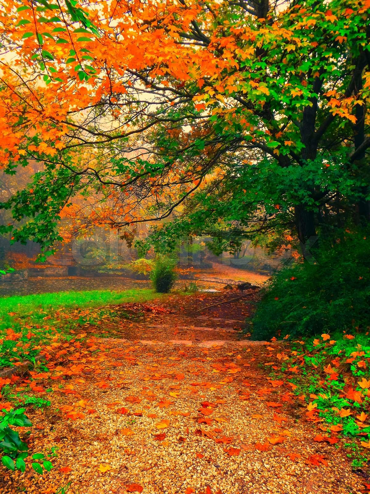 Úton | Stock image | Colourbox