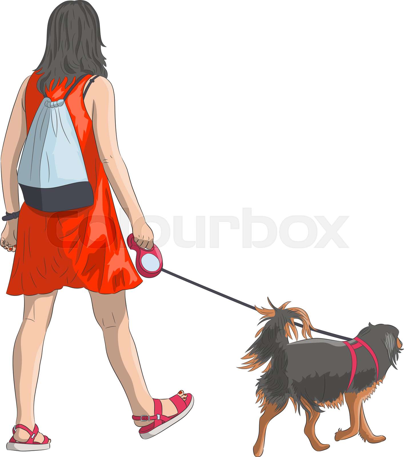 A girl in a red dress with a dog on a leash. | Stock vector | Colourbox