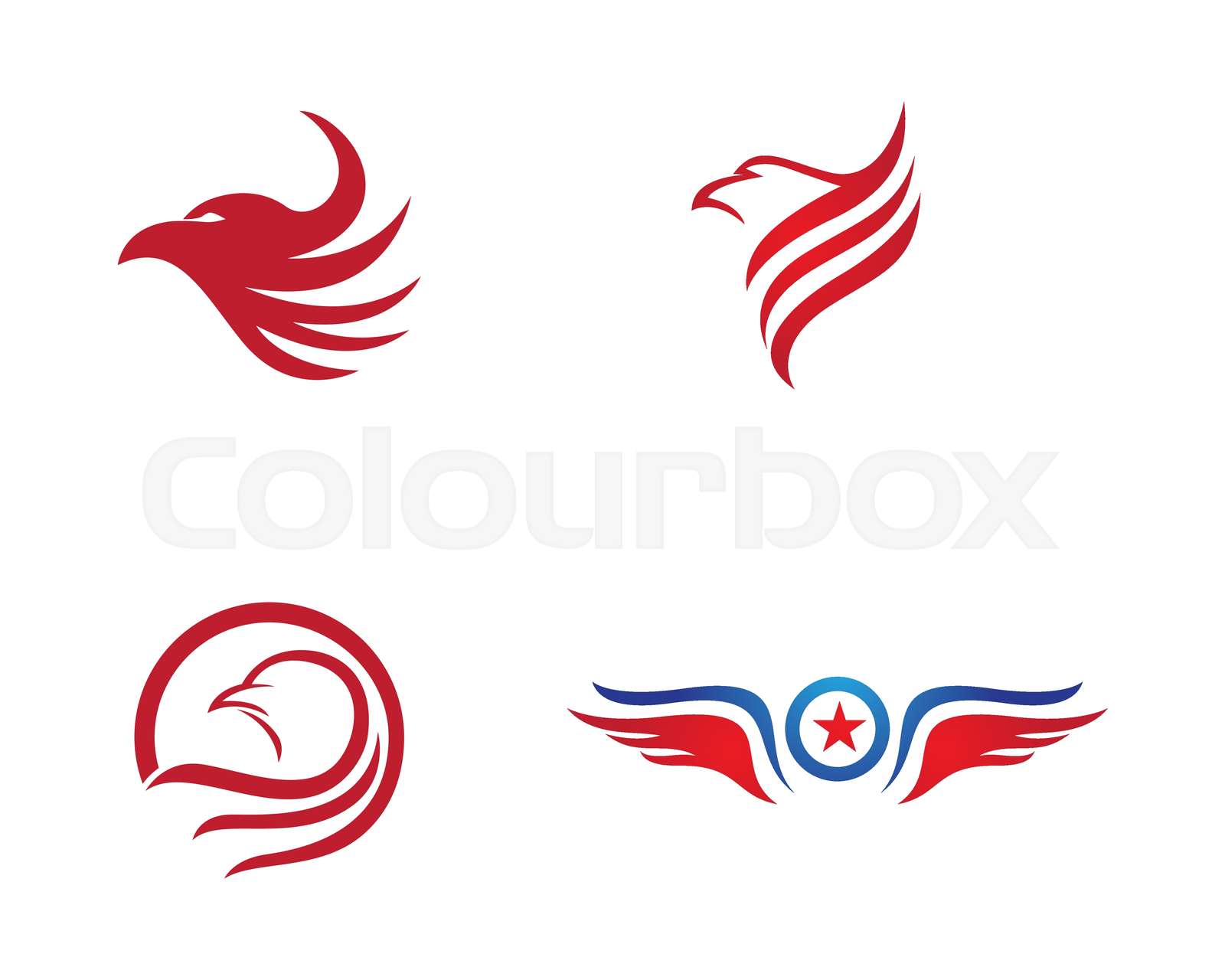 Wing Falcon Logo Template | Stock vector | Colourbox