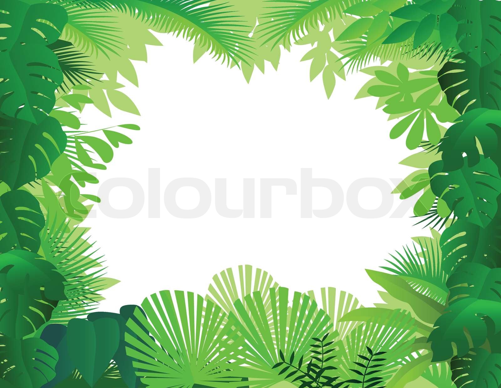 Rainforest Clipart Border