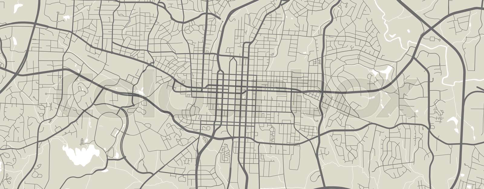 Vector map of Raleigh, USA, State of USA. Street map art poster ...