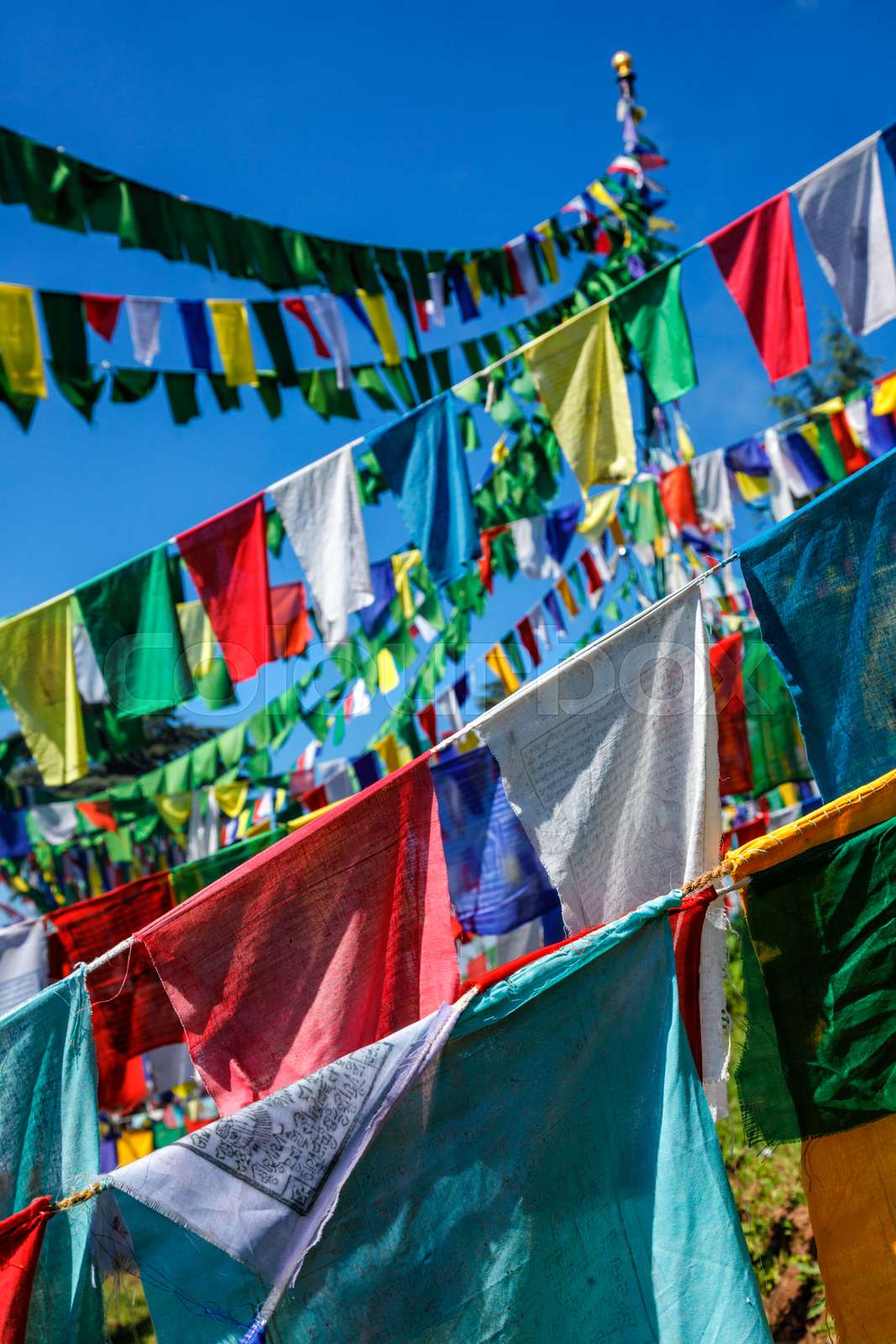 Buddhist prayer flags lunga in McLeod Ganj, Himachal Pradesh, India ...