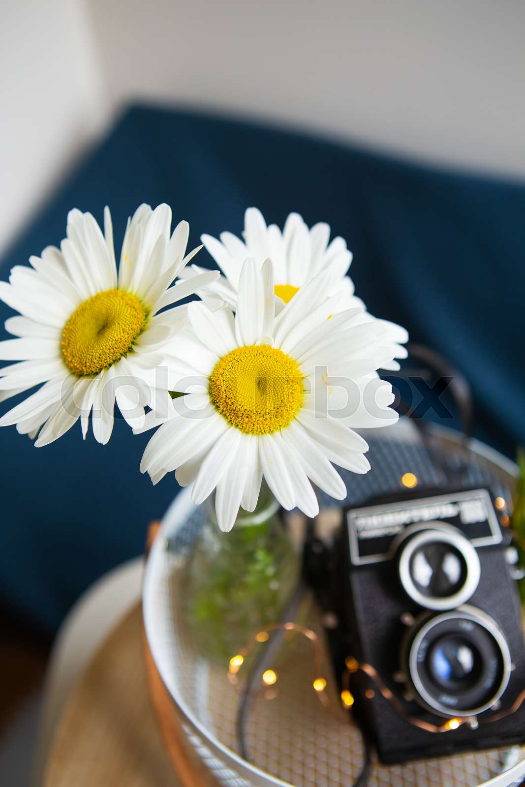 Old vintage rustic camera with a bouquet of daisy flowers on a wooden ...