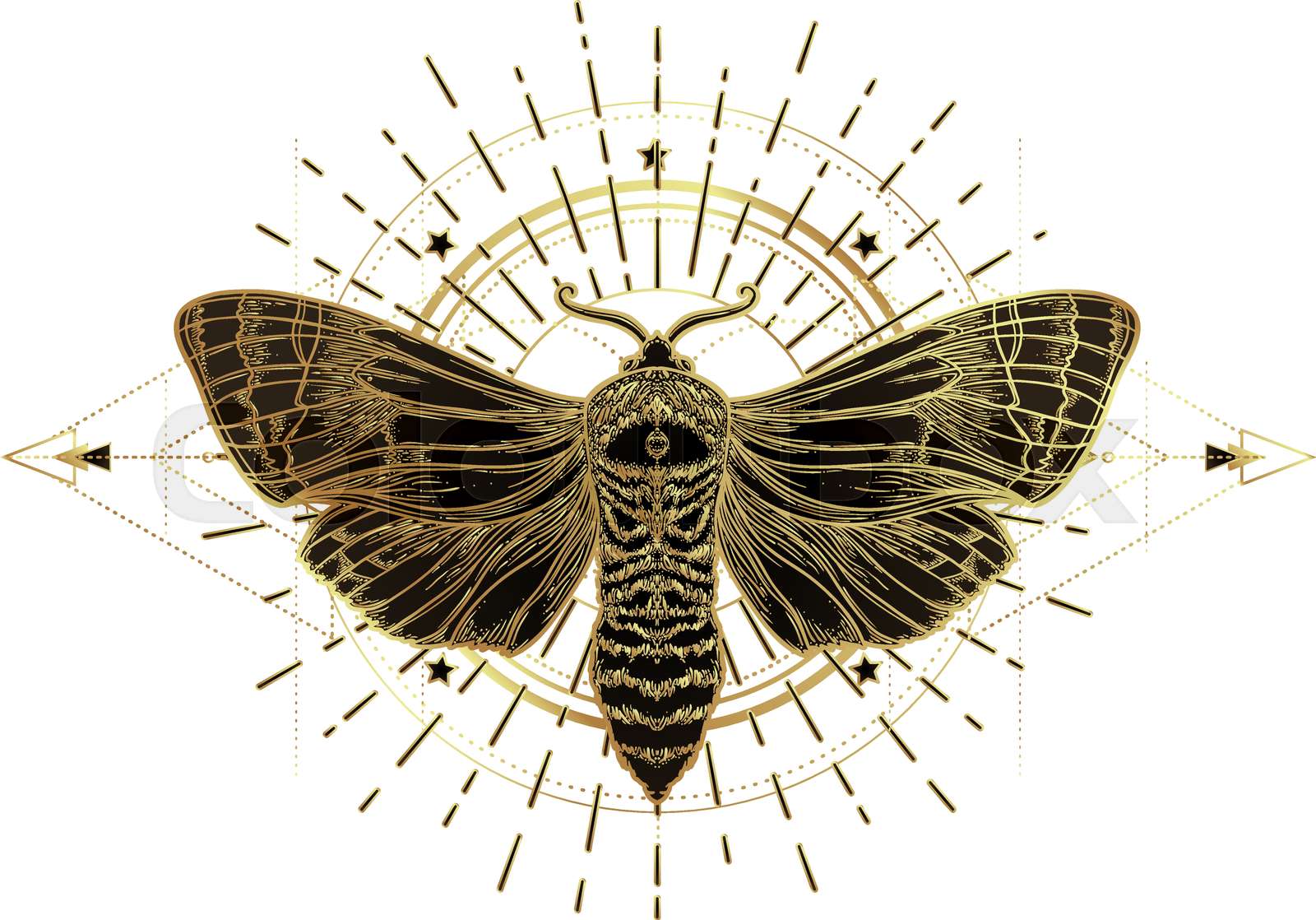 Golden moth over sacred geometry sign, isolated vector illustration ...