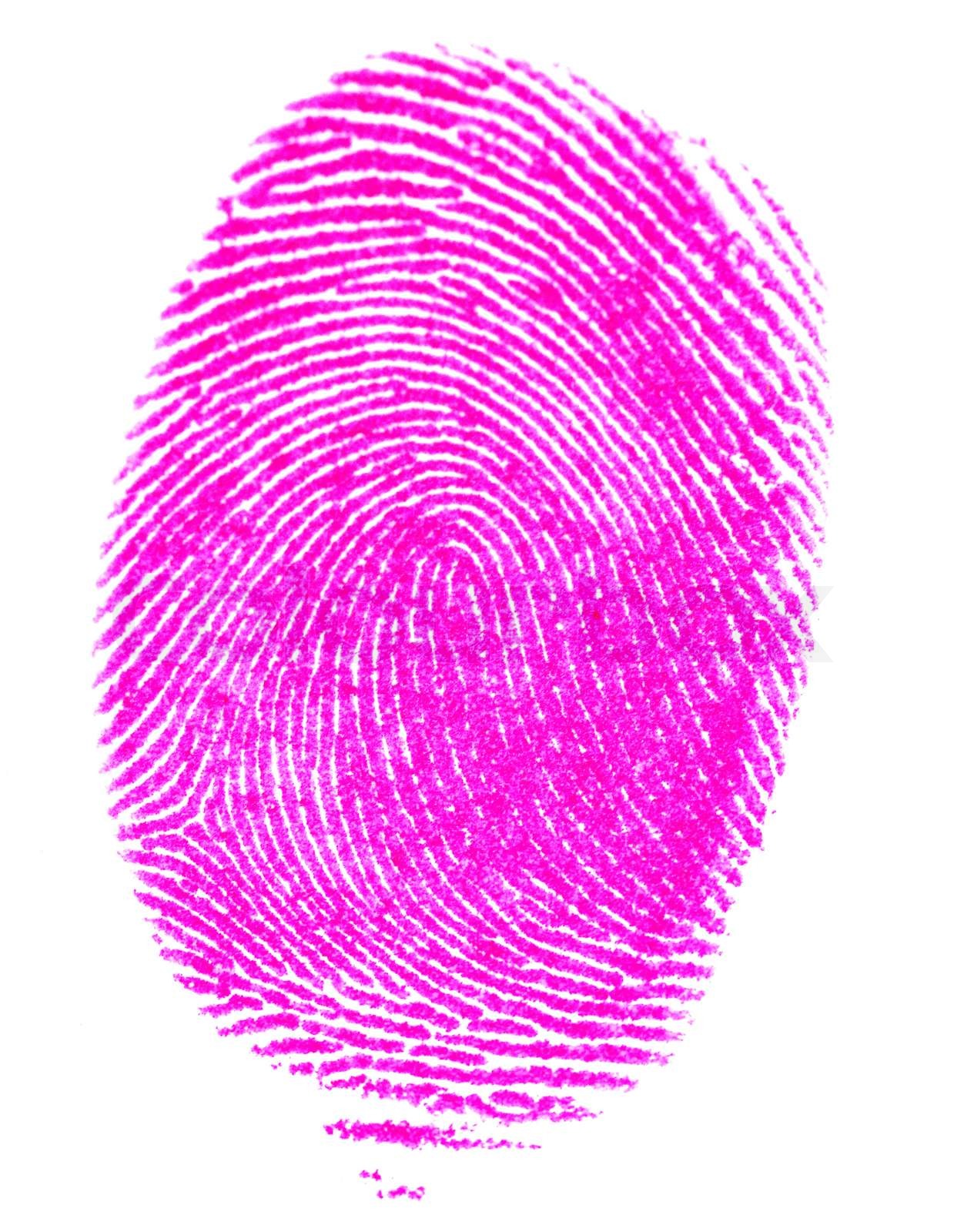 pink fingerprint | Stock image | Colourbox