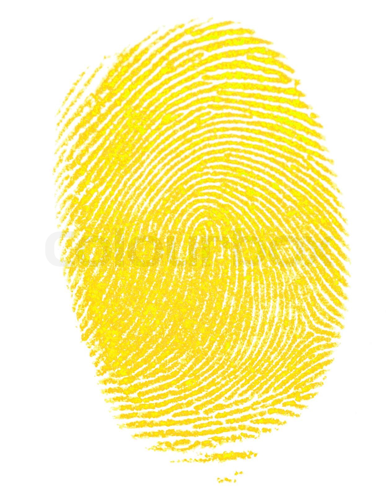 yellow fingerprint | Stock image | Colourbox