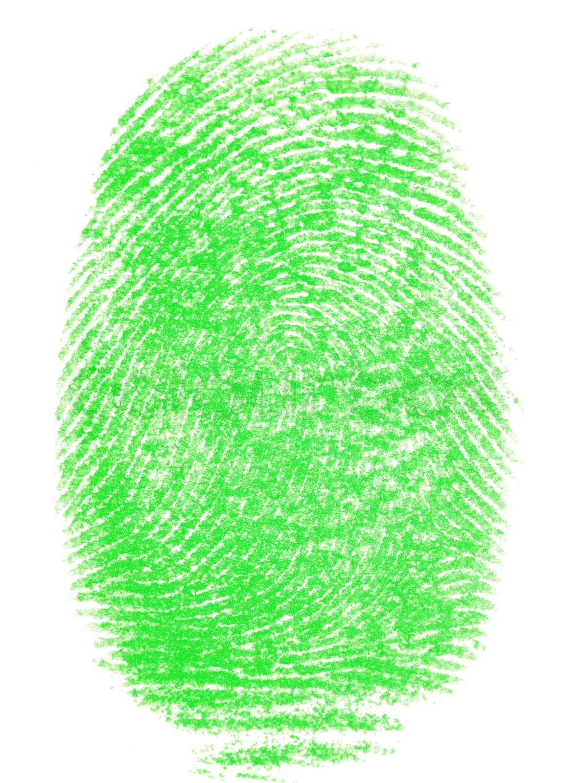 green fingerprint | Stock image | Colourbox
