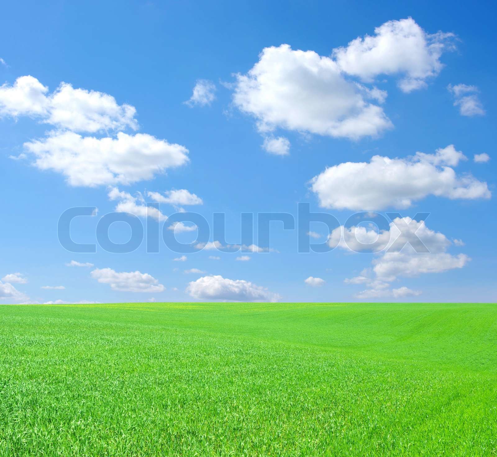 meadow | Stock image | Colourbox