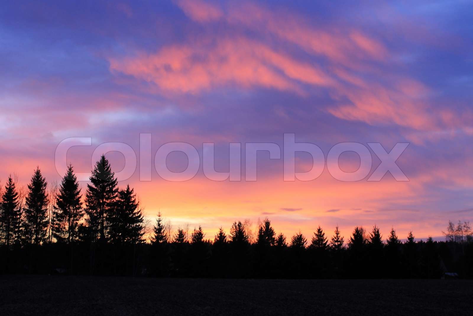 taivas | Stock image | Colourbox