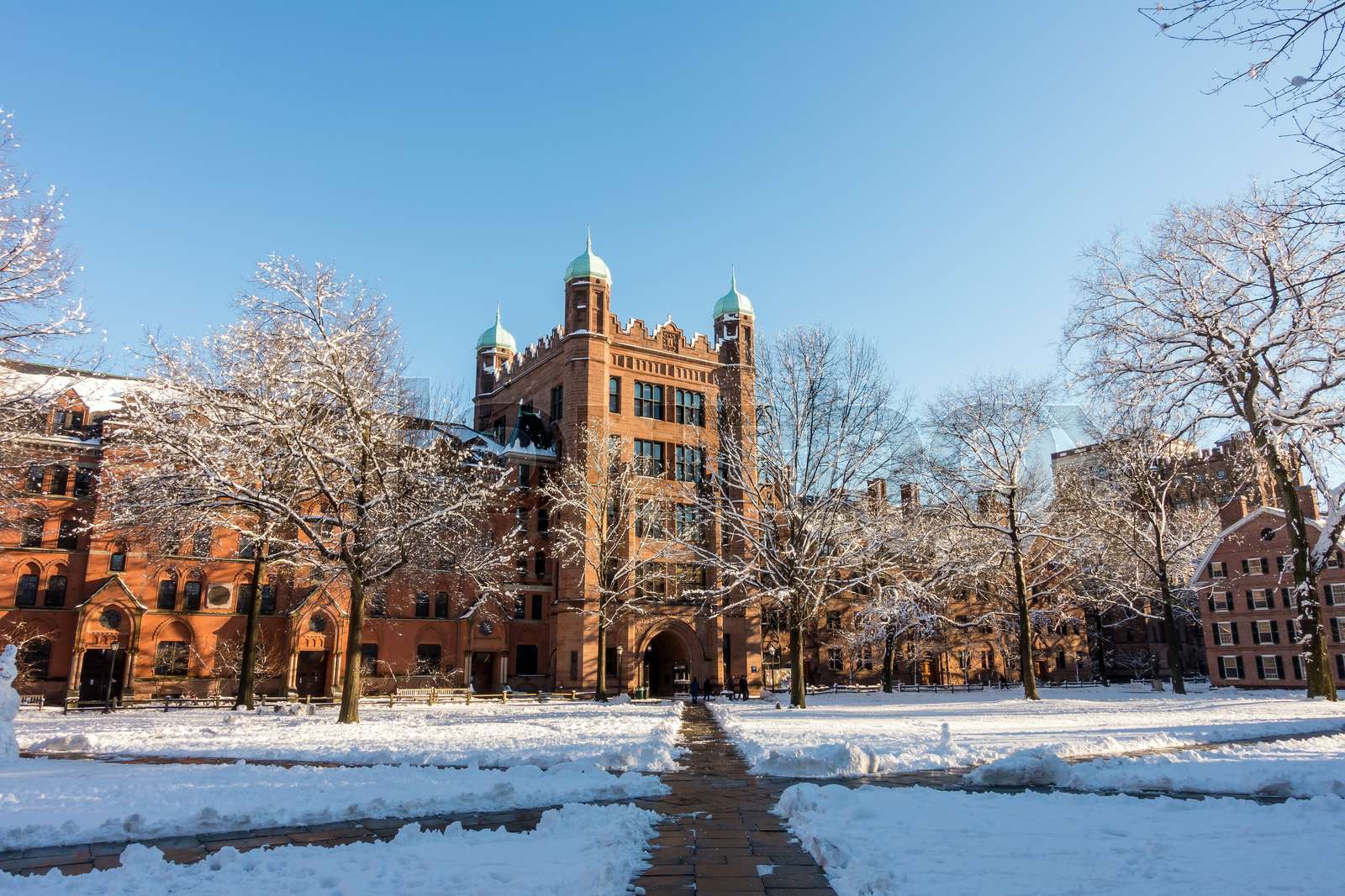 Yale Campus Winter