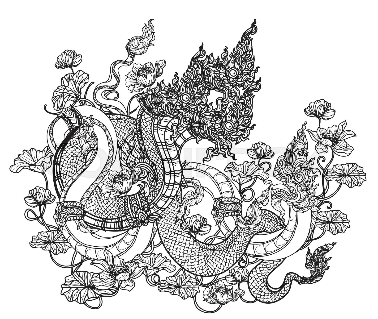 Thai Naga Drawing
