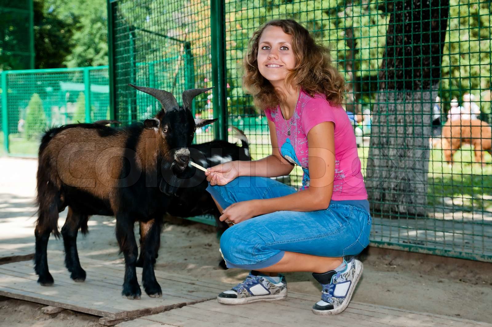 beautiful girl at the zoo | Stock image | Colourbox