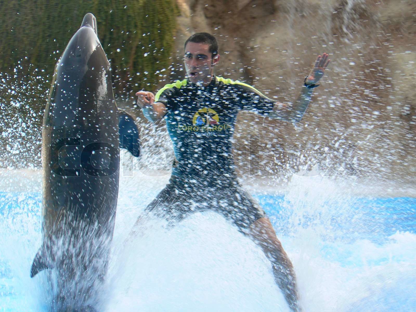 man and dolphin | Stock image | Colourbox