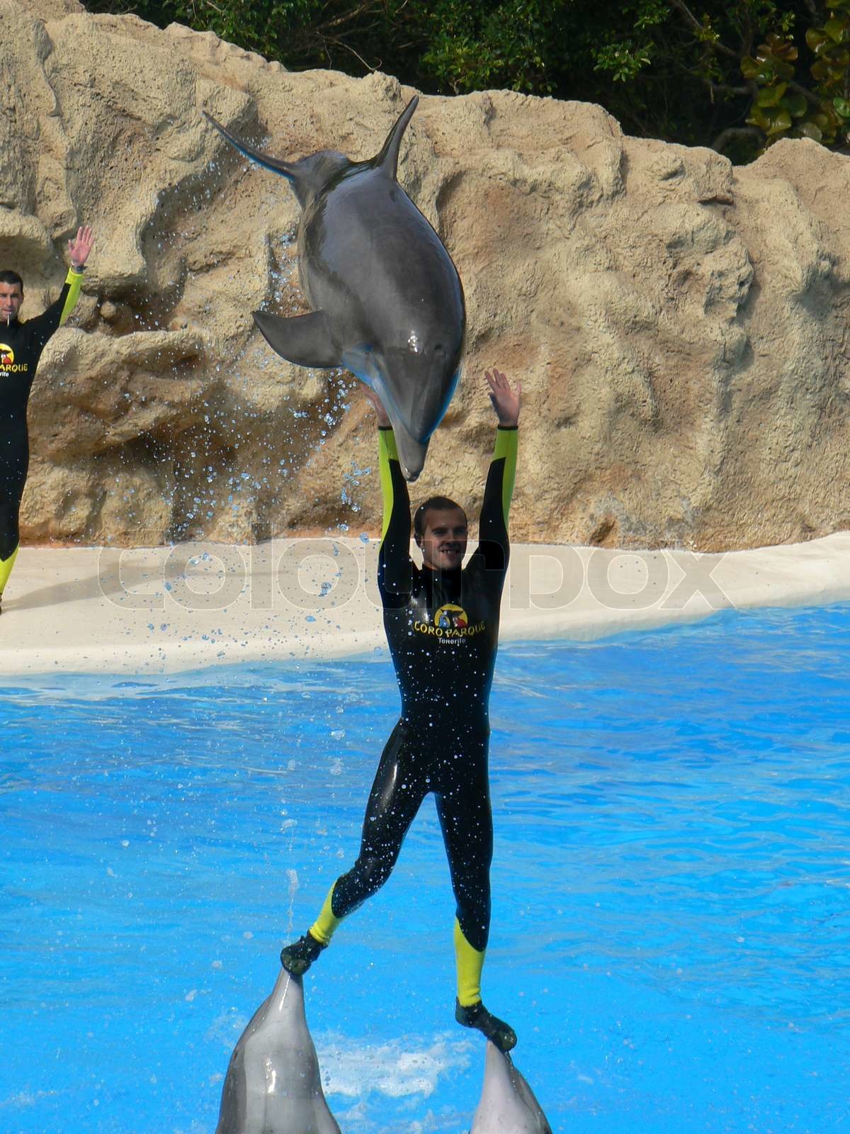 Friendship between a man and a dolphin | Stock image | Colourbox