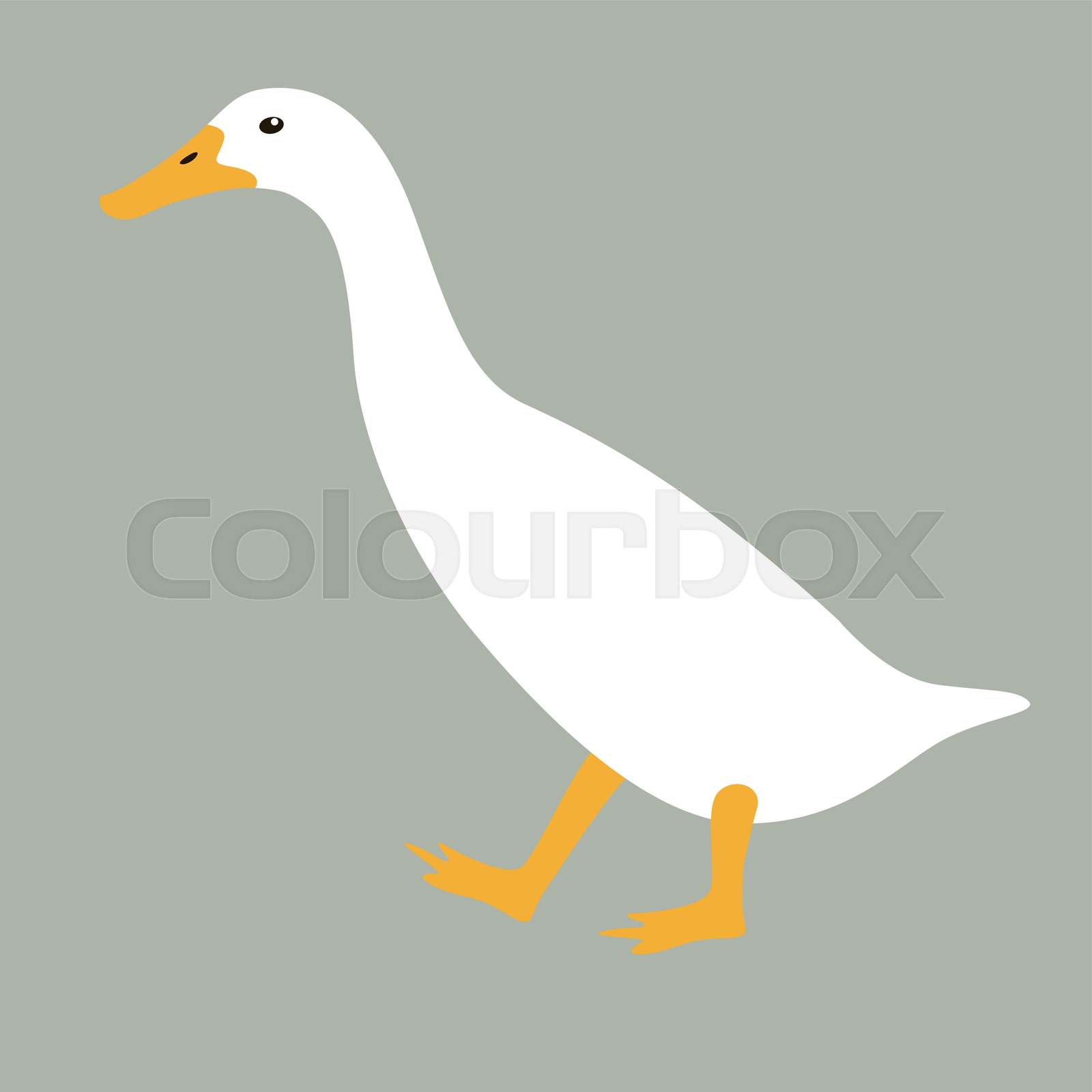 duck bird , vector illustration,flat style, side view | Stock vector ...