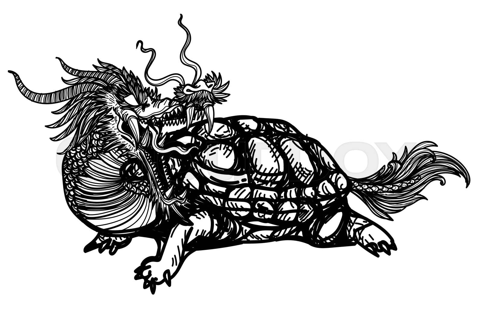 Dragon Turtle Chinese Art