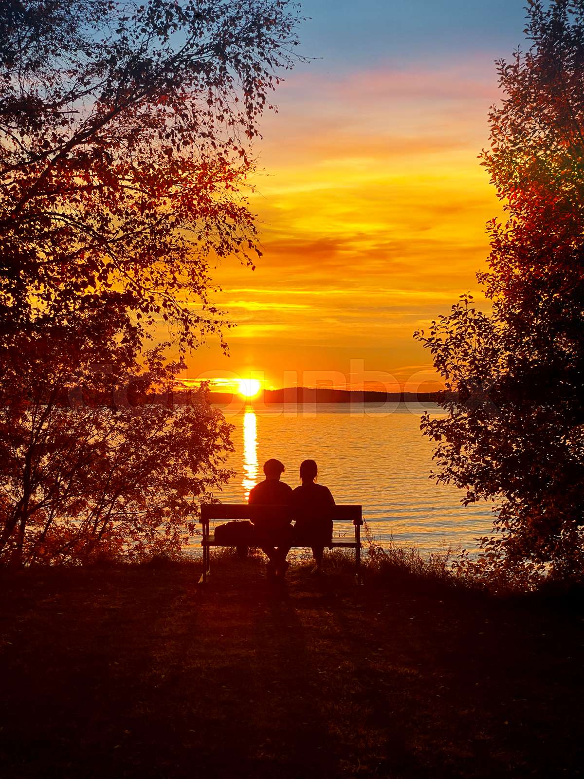 Couple sitting on a bench in summer sunset | Stock image | Colourbox