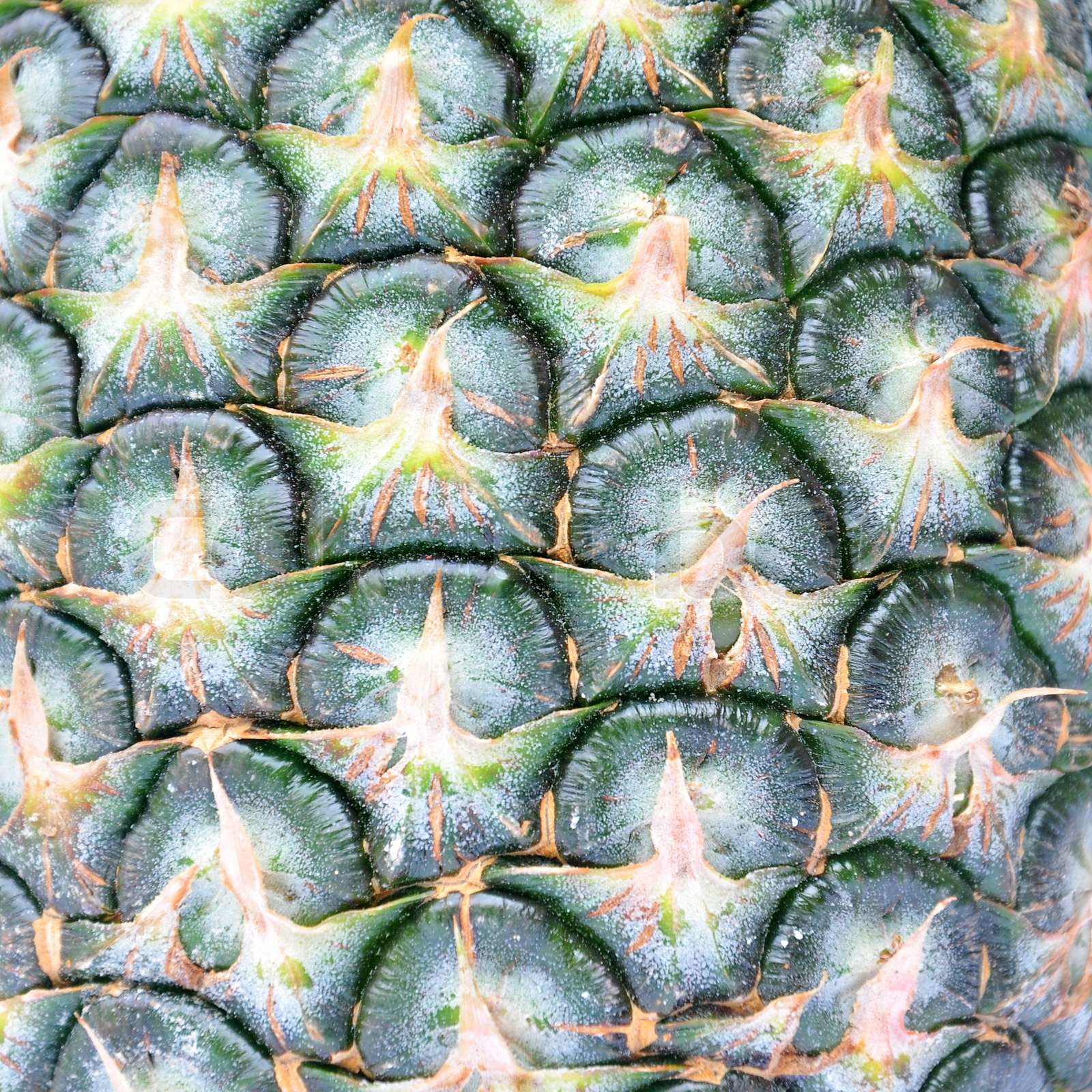 Ananas | Stock Bild | Colourbox