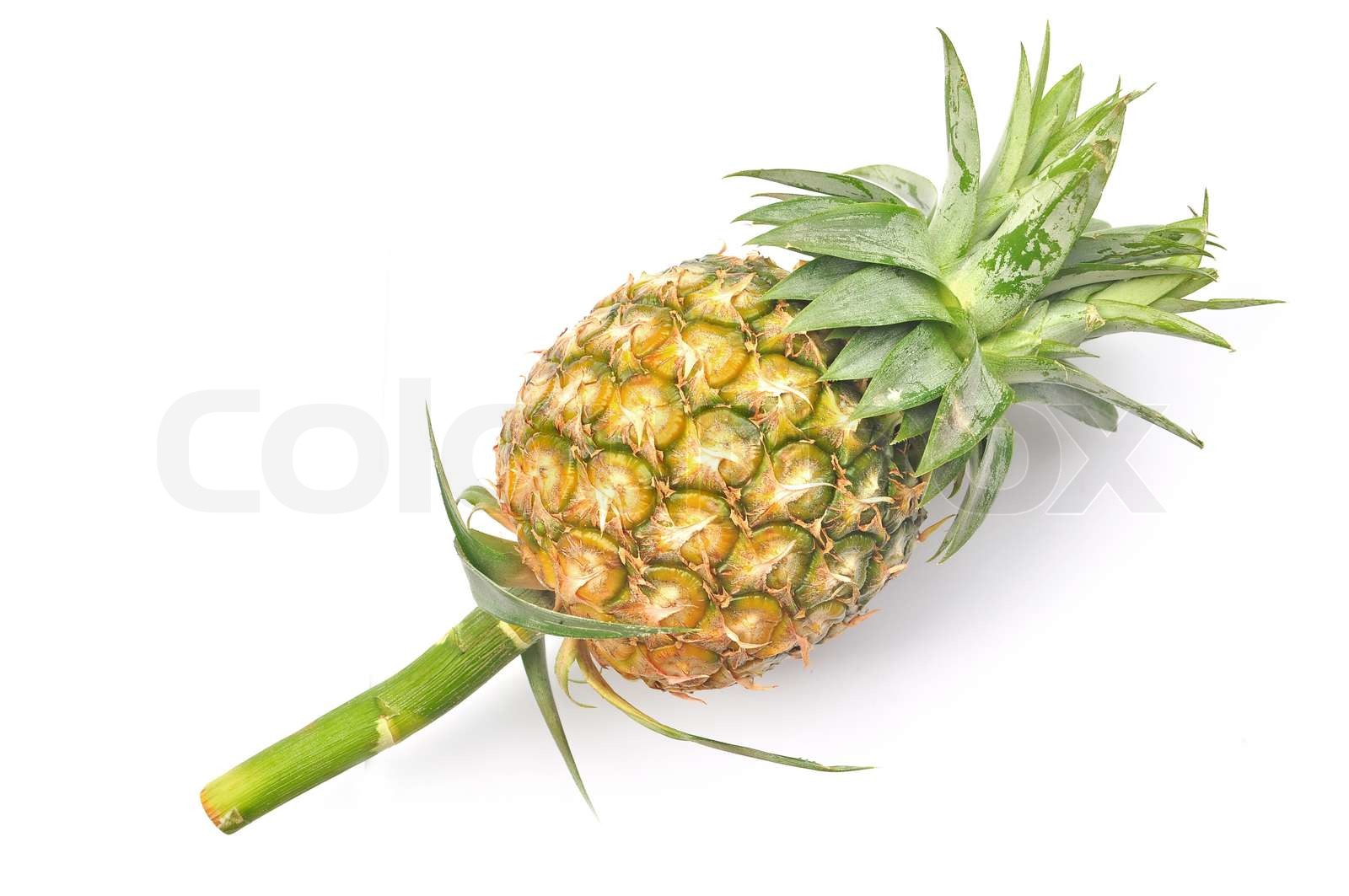 Ananas | Stock Bild | Colourbox