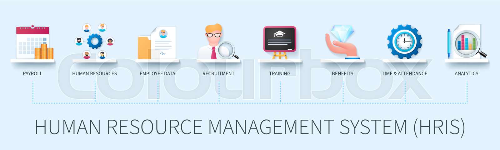 Hris vector infographic in 3D style | Stock vector | Colourbox