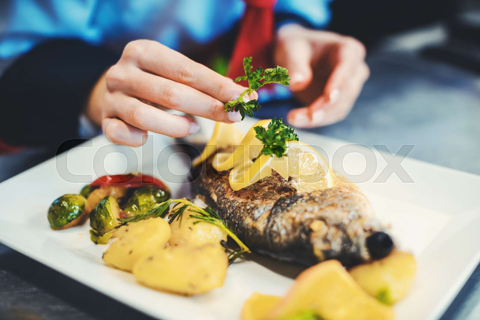 Chef cook in a fancy restaurant kitchen finishing a dish with care ...