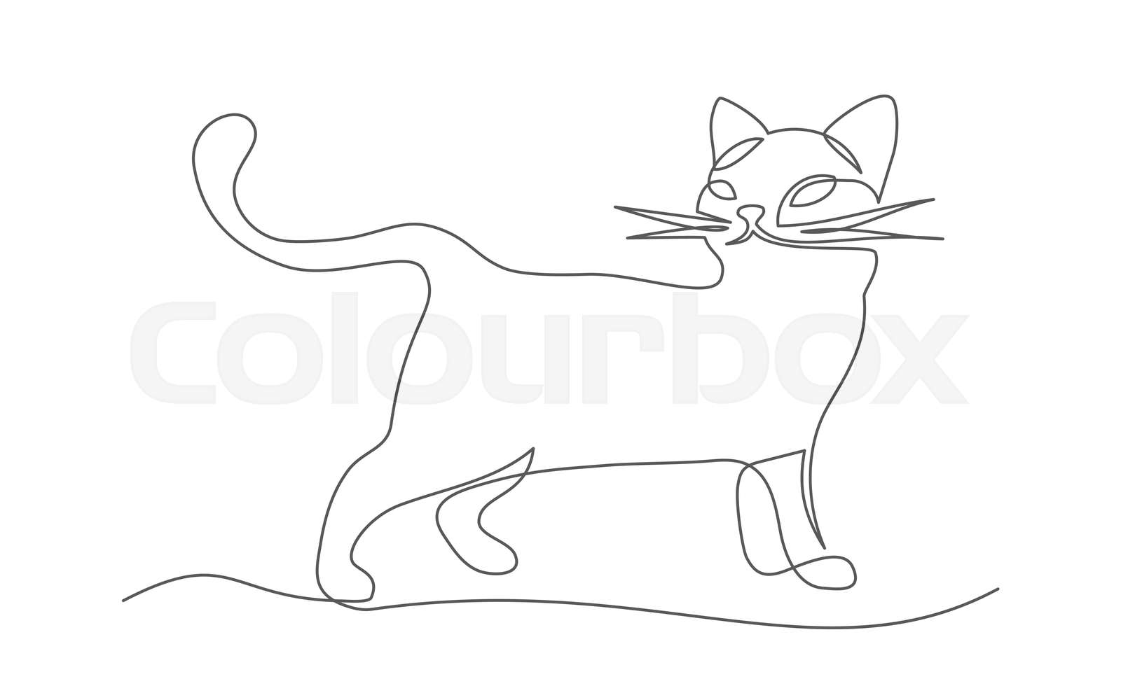 Cat. One line drawing. Vector cat in line style | Stock vector | Colourbox