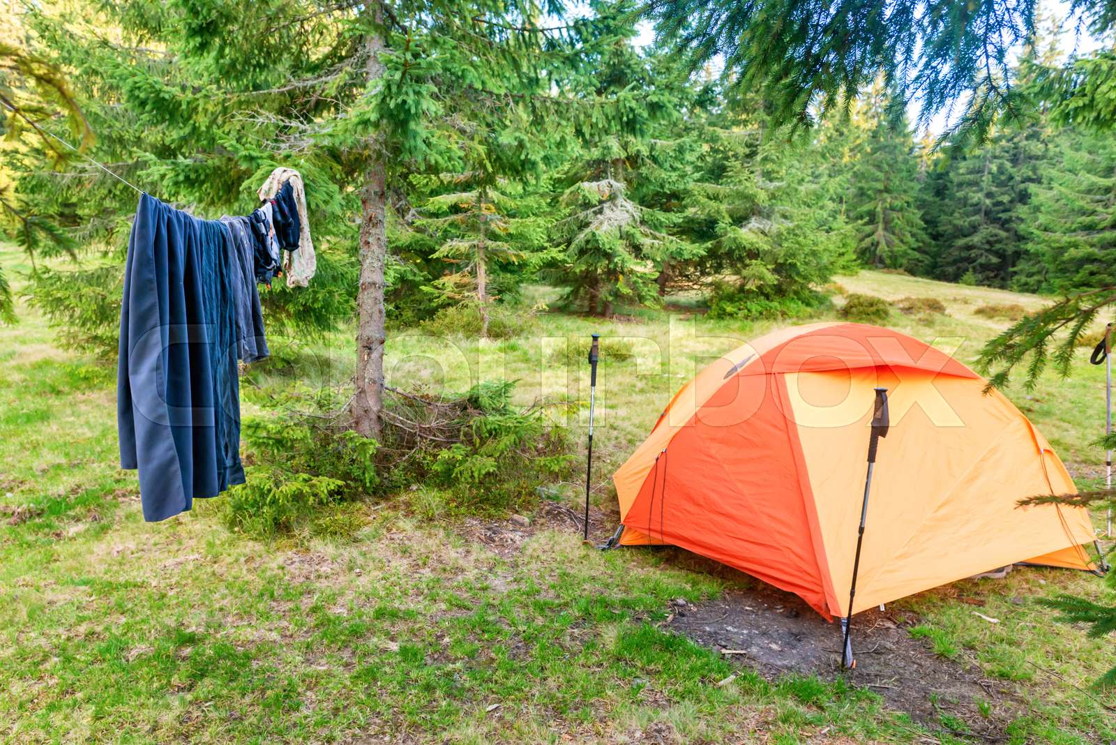 Tent camp with drying clothes | Stock image | Colourbox
