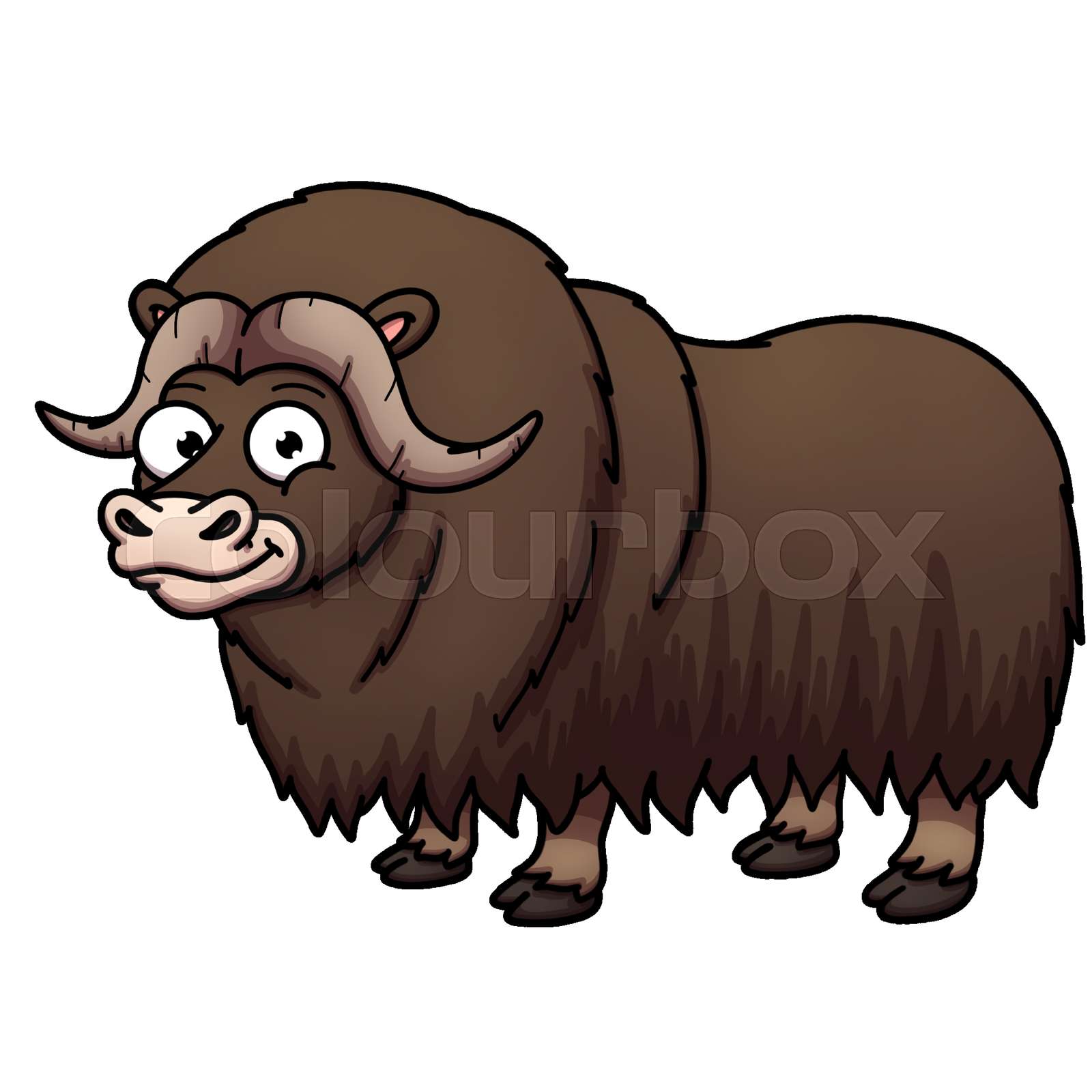 Musk Ox Cartoon