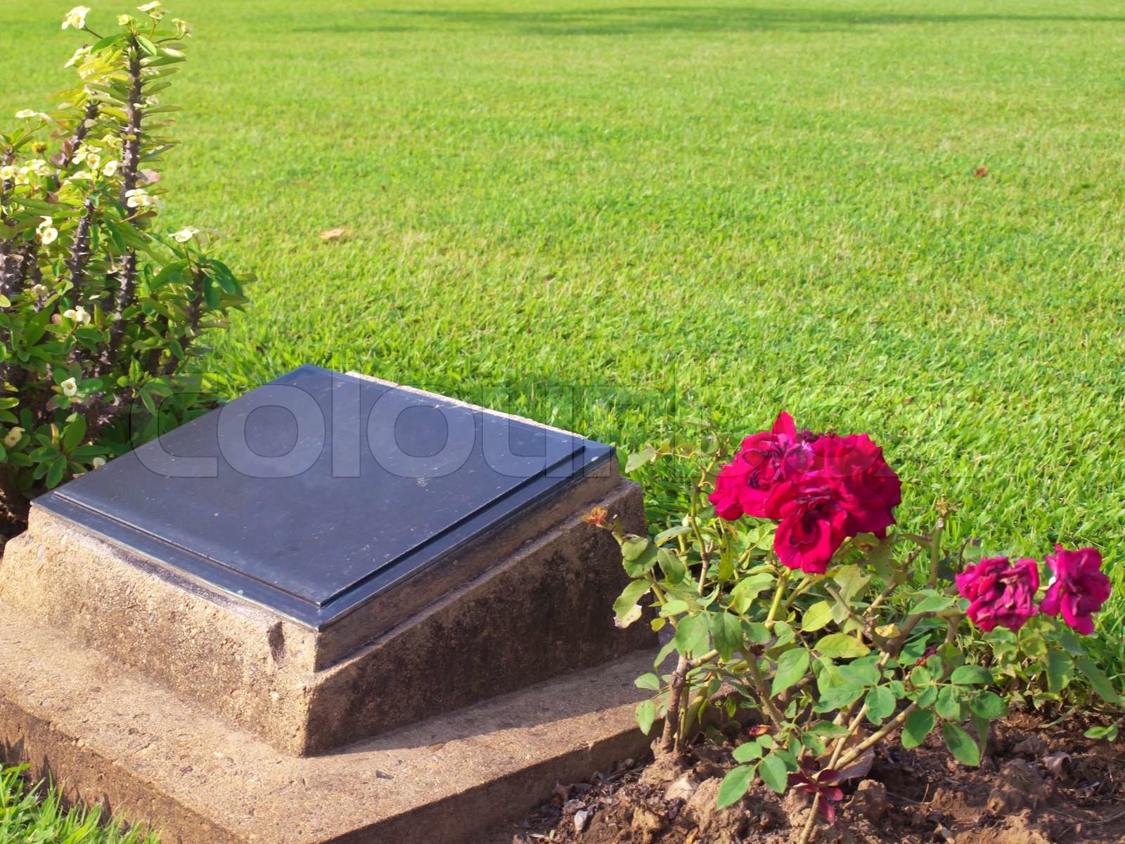 Grabstein | Stock Bild | Colourbox