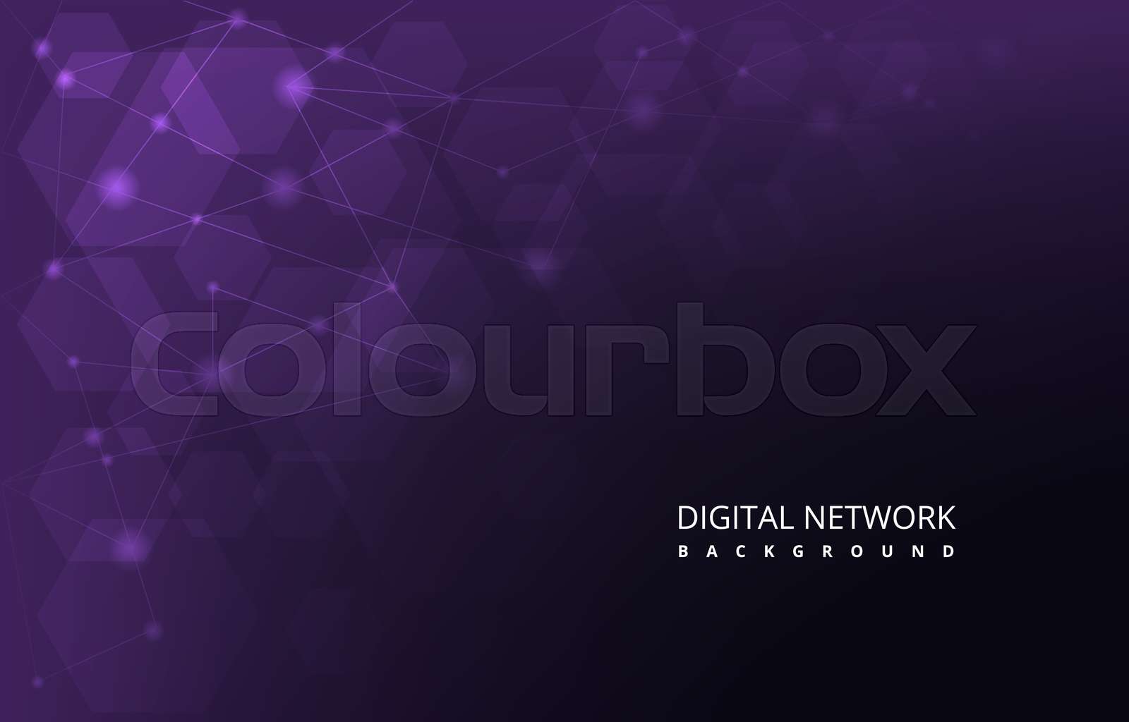 Purple Hexagon Digital Network Connection Internet Technology ...