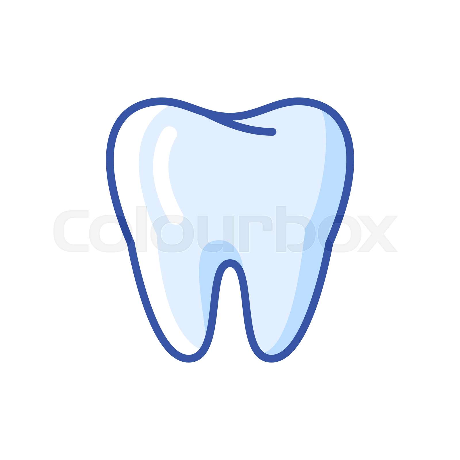 diente, dentadura, muela | Vector de archivo | Colourbox