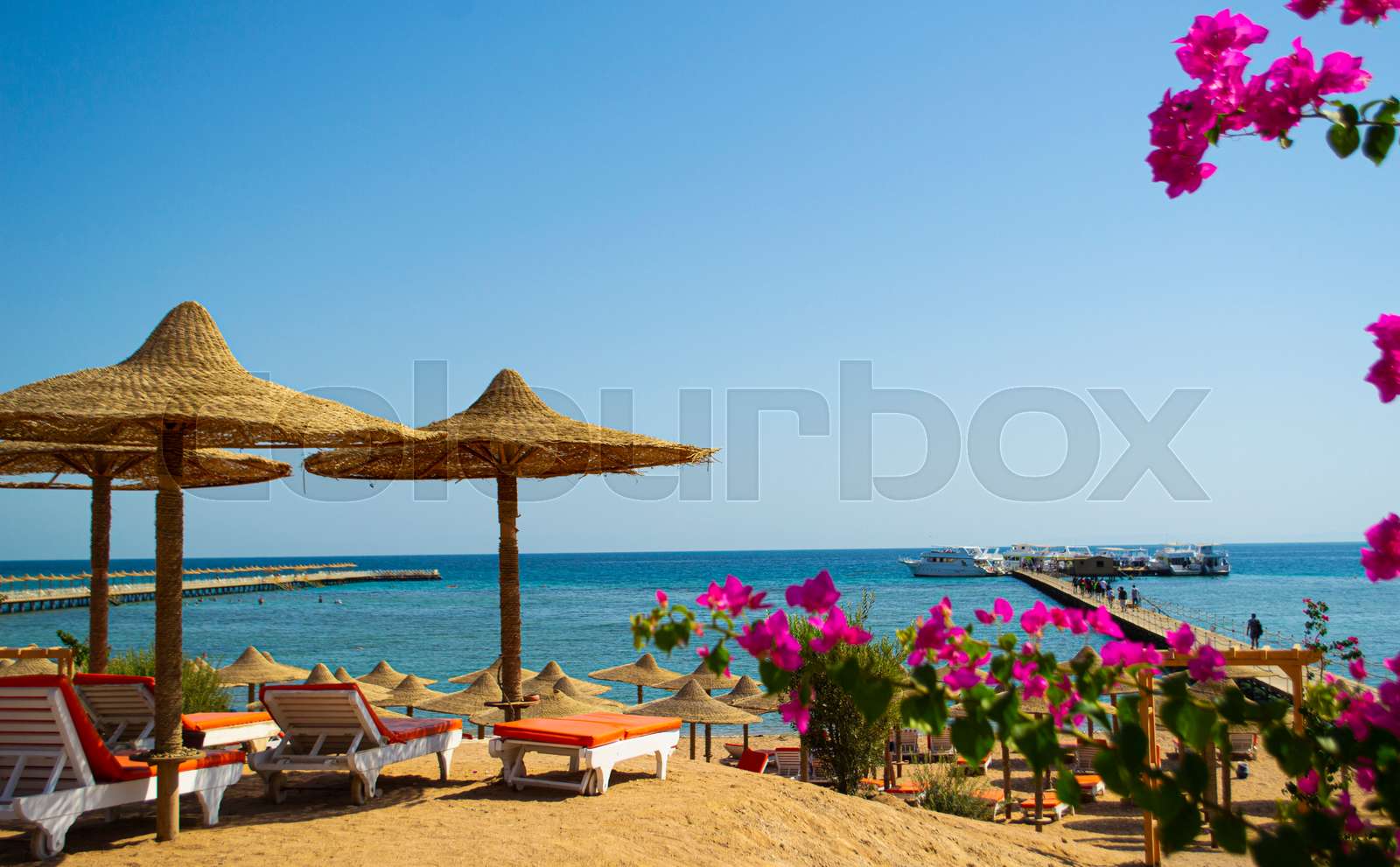 beautiful beach of Egypt overlooking the red sea. travel. recreation ...