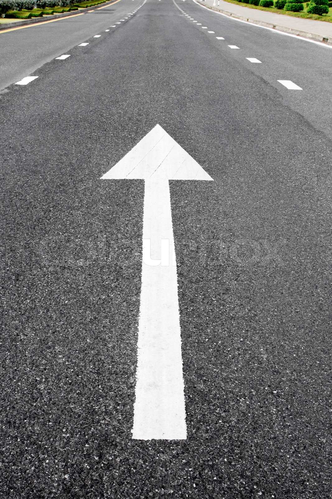 Arrow signs as road markings on a street | Stock image | Colourbox