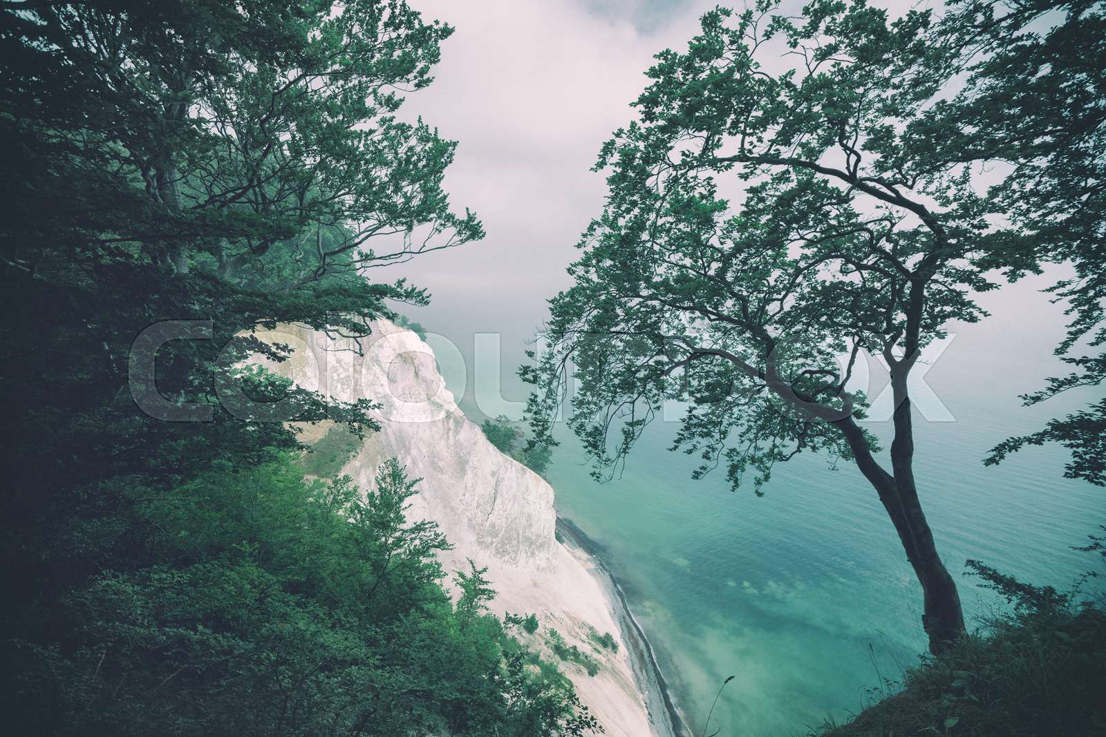Tree on the top of a cliff | Stock image | Colourbox