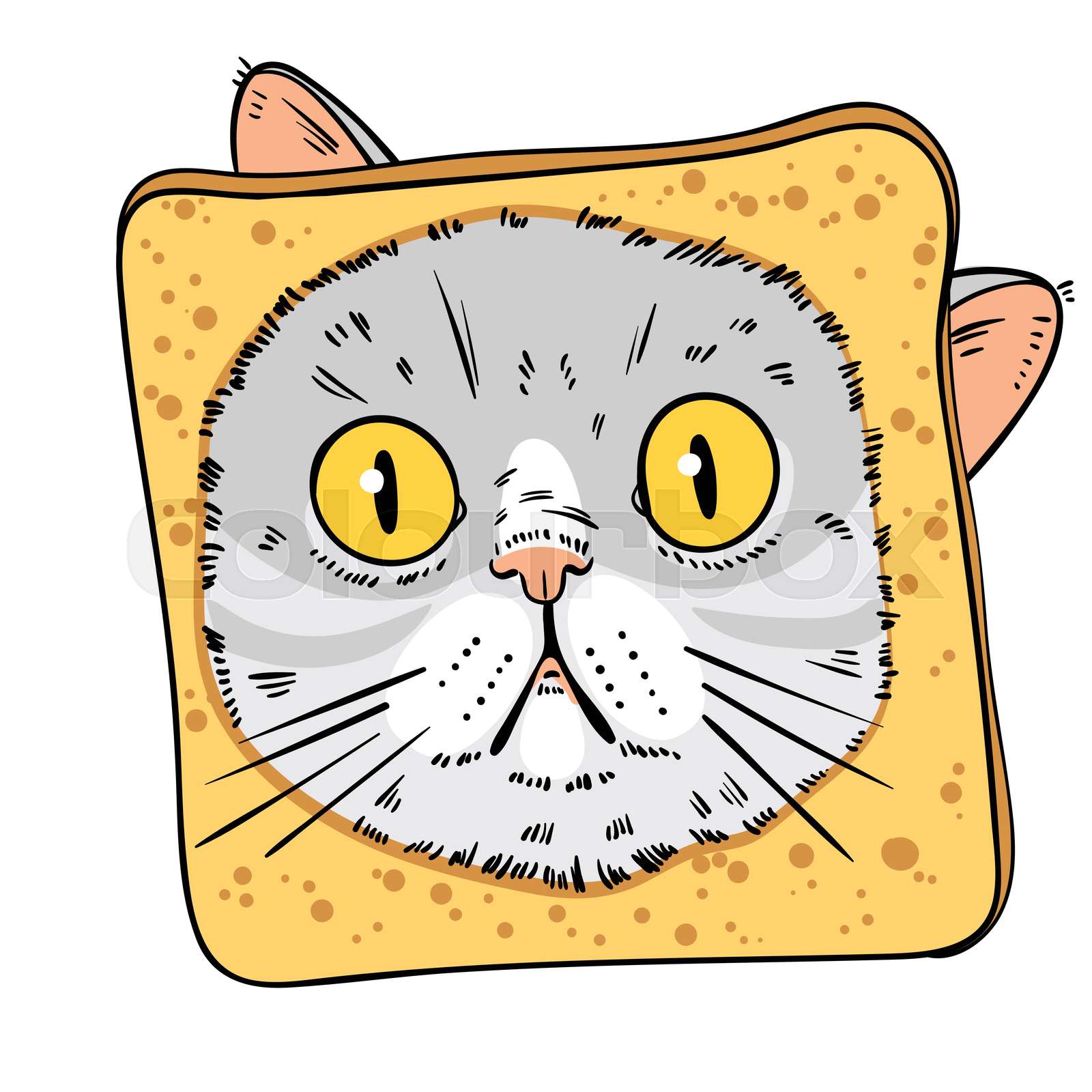 Face of surprised cat is in piece of bread. Cat portrait drawing ...